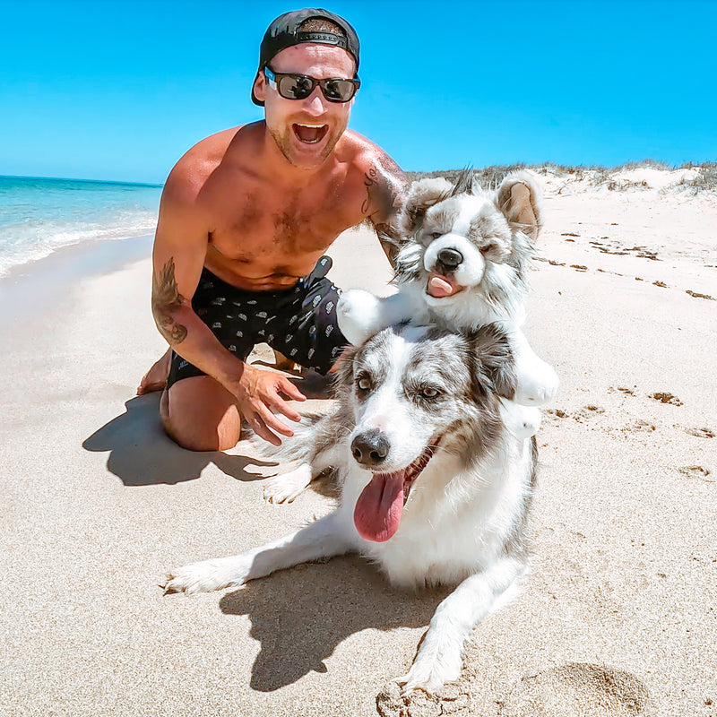 YBS Stryda Dog Plush Toy