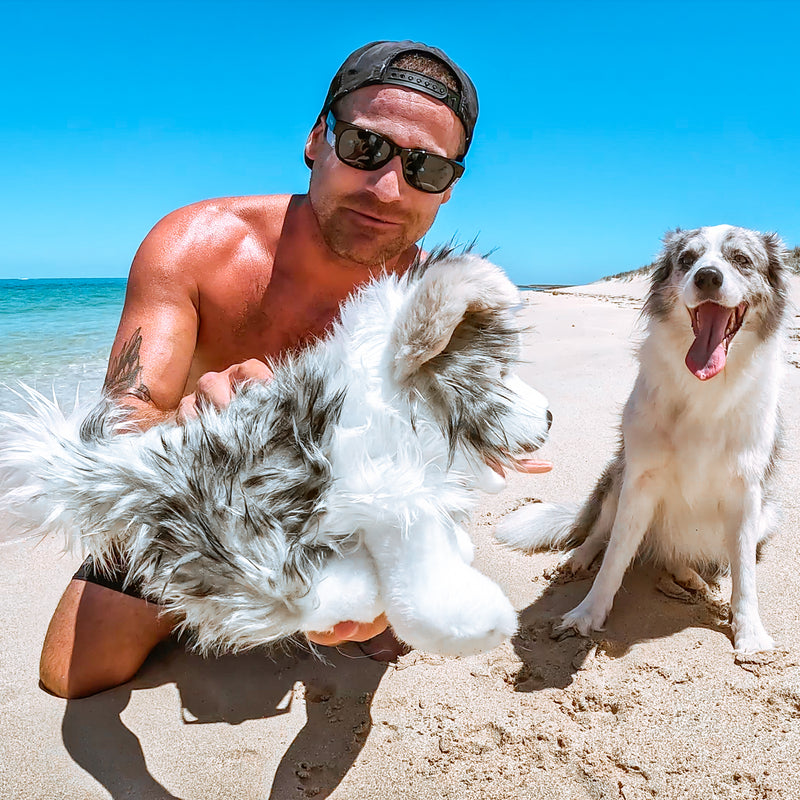 YBS Stryda Dog Plush Toy