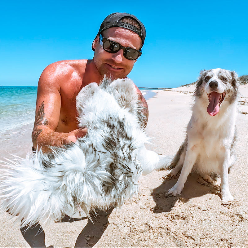 YBS Stryda Dog Plush Toy