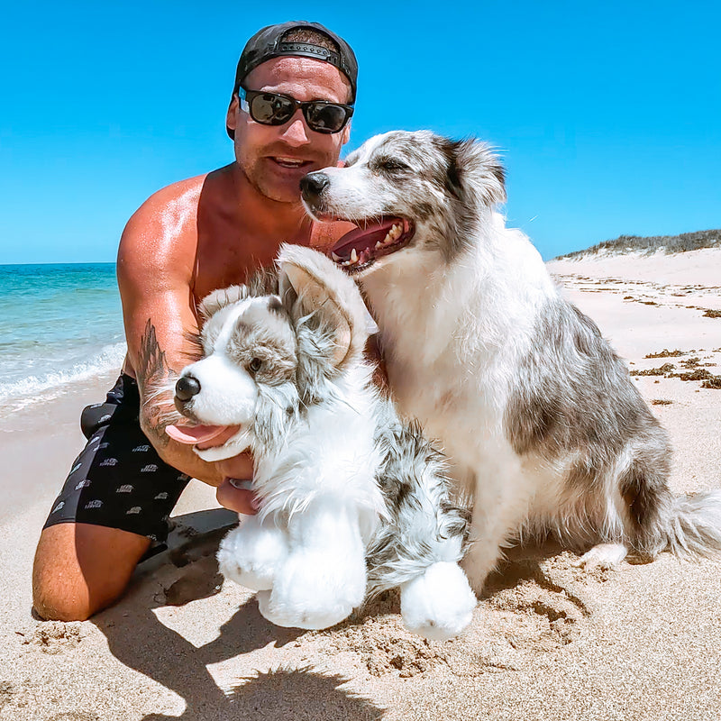 YBS Stryda Dog Plush Toy